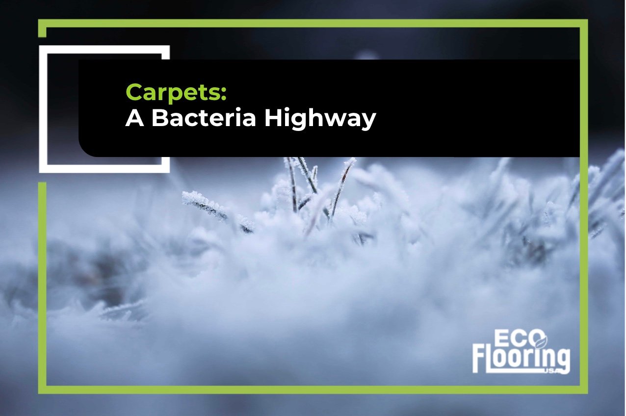 Carpets: A Bacteria Highway
